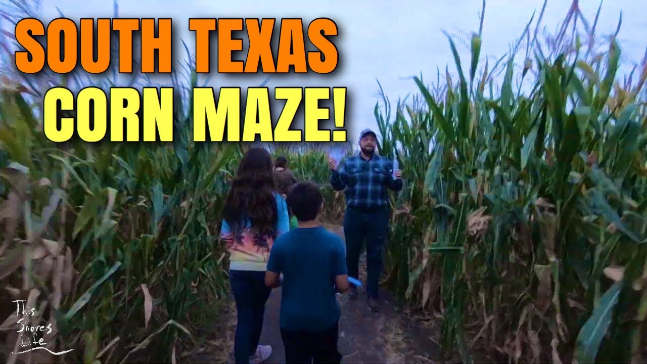 South Texas Corn Maze 2019 (AKA South Texas Maize - Graff 7A Ranch ...