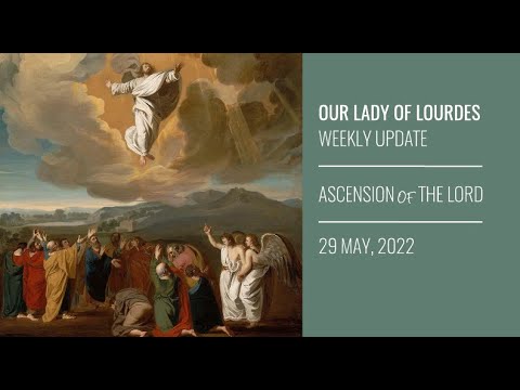 Just the Beginning | Ascension of the Lord | 5.29.2022 | Fr. Brian ...