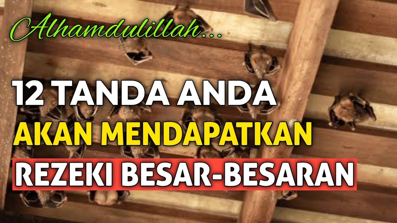 12 TANDA ANDA AKAN MENDAPATKAN REZEKI BESAR-BESARAN...💥 ALHAMDULILLAH.. - YouTube