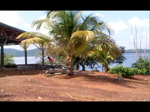 Mark eiland stuwmeer brokopondo suriname - YouTube