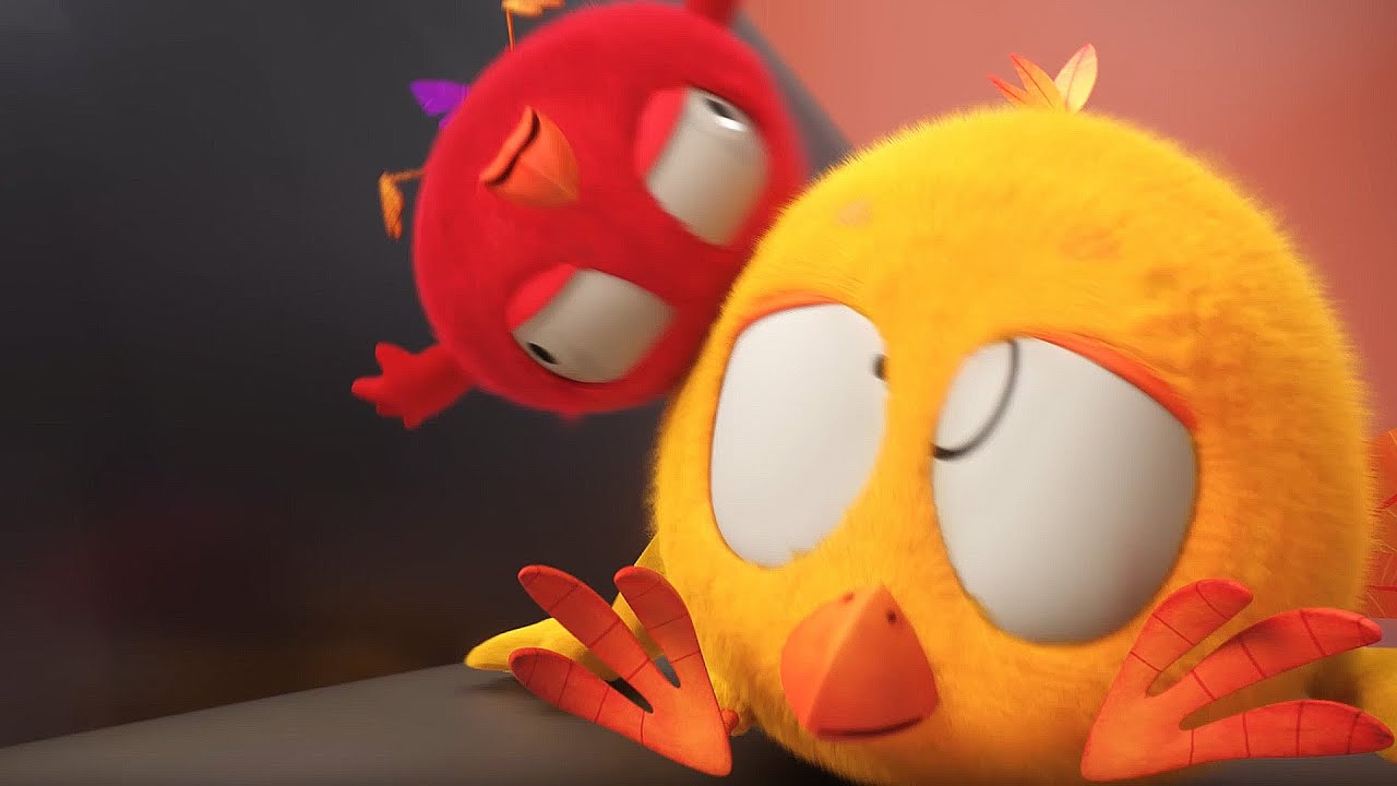 Chicky and Poyo are being silly! | Where's Chicky? | Cartoon Collection in English for Kids | HD ...