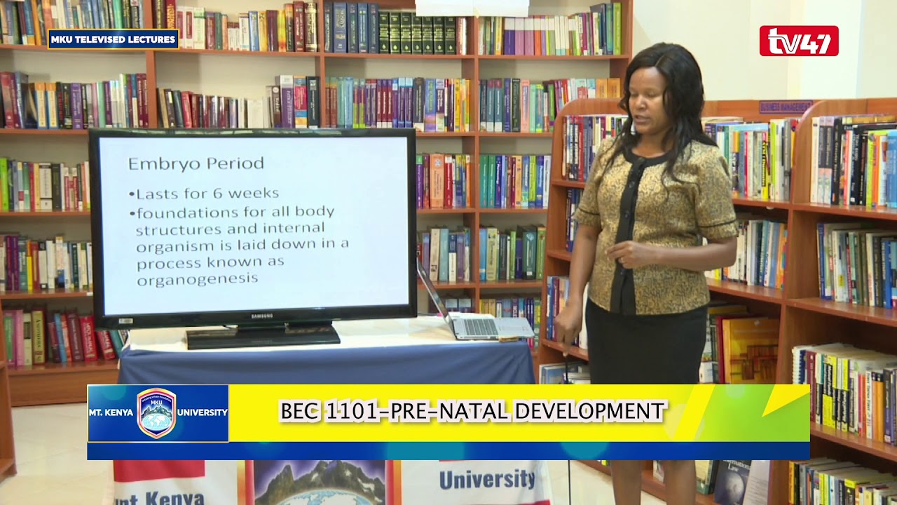 BEC1101 CHILD DEVELOPMENT PRE NATAL DEVELOPMENT, Joyce Njeru Lesson 3 ...