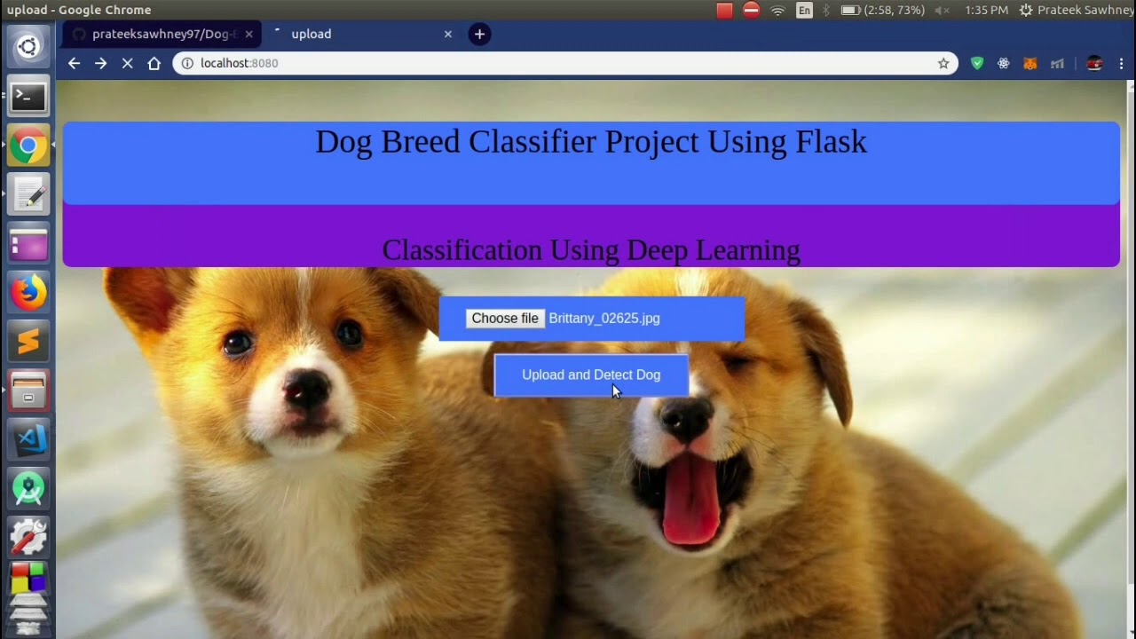 Dog Breed Classification Project Using Flask - YouTube
