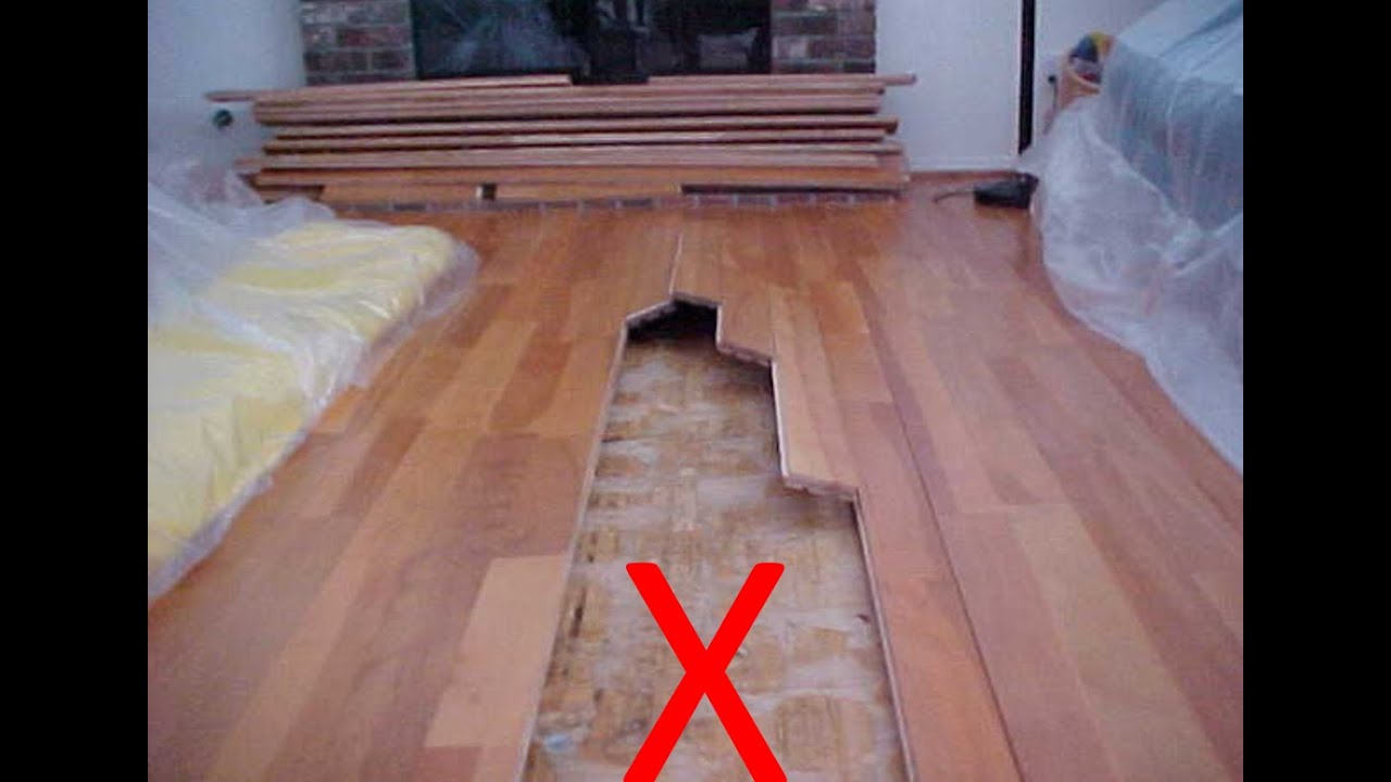 ELASTILON, CHAT FROM THE GARDEN - YouTube