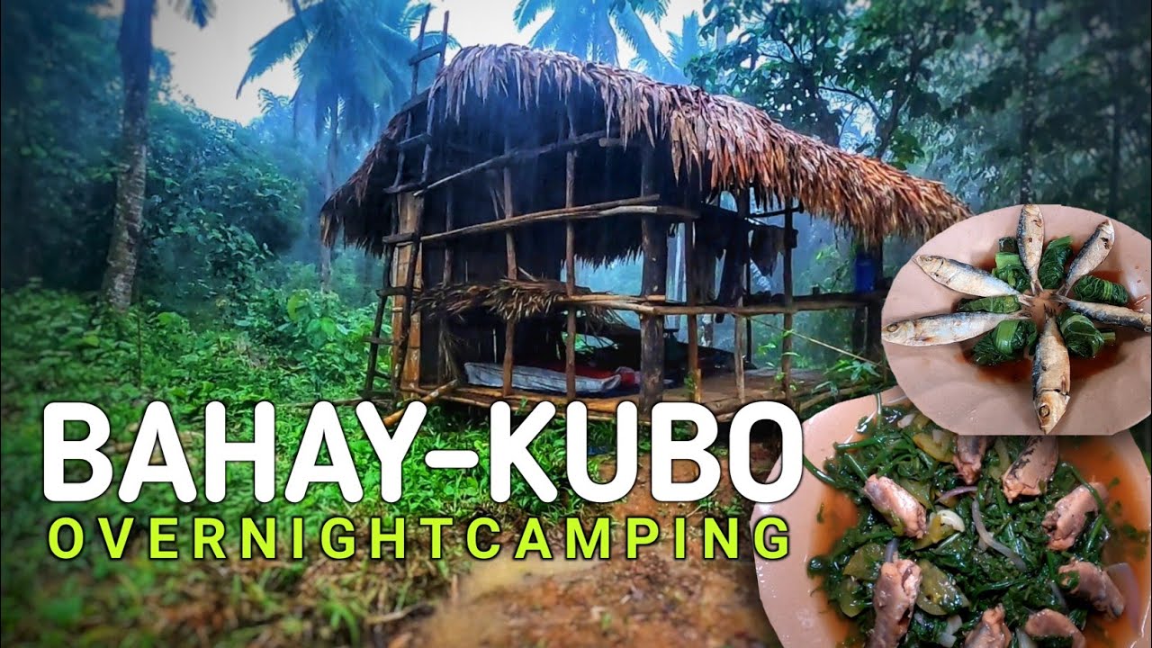 Project Bahay-Kubo | Ginisang Pako(Fiddlehead Fern) | Dried Fish Recipe ...