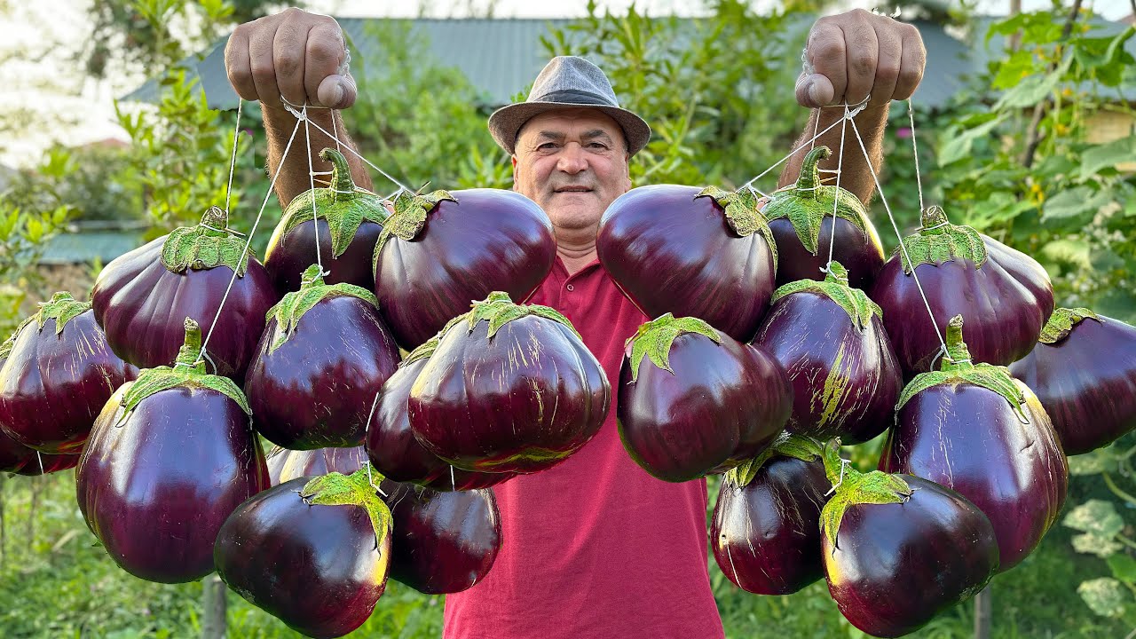 HUGE SIZED EGGPLANTS COOKED IN AN INTERESTING WAY! THE BEST MEAL I'VE ...