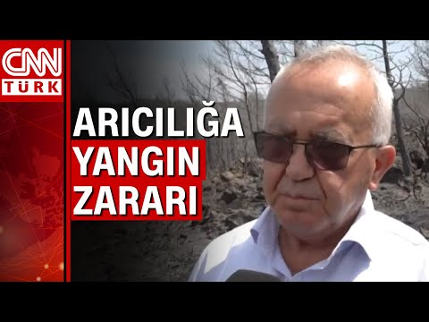 Marmaris'te arıcılık da darbe aldı