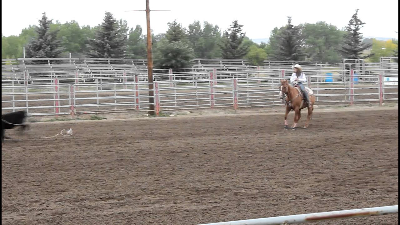 Lakota Bird Breakaway Nanton HSR Day 2 - YouTube