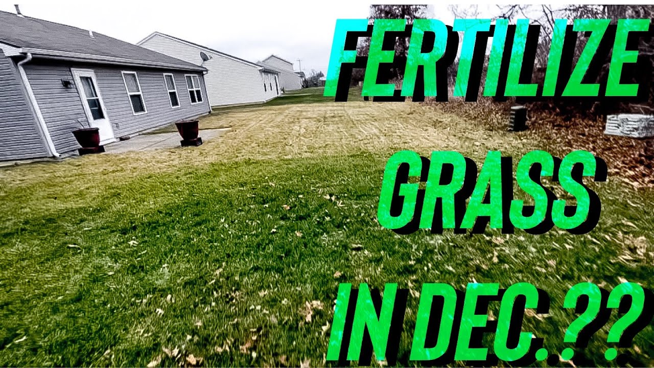 Winterizer | your lawns most important fertilizer treatment - YouTube
