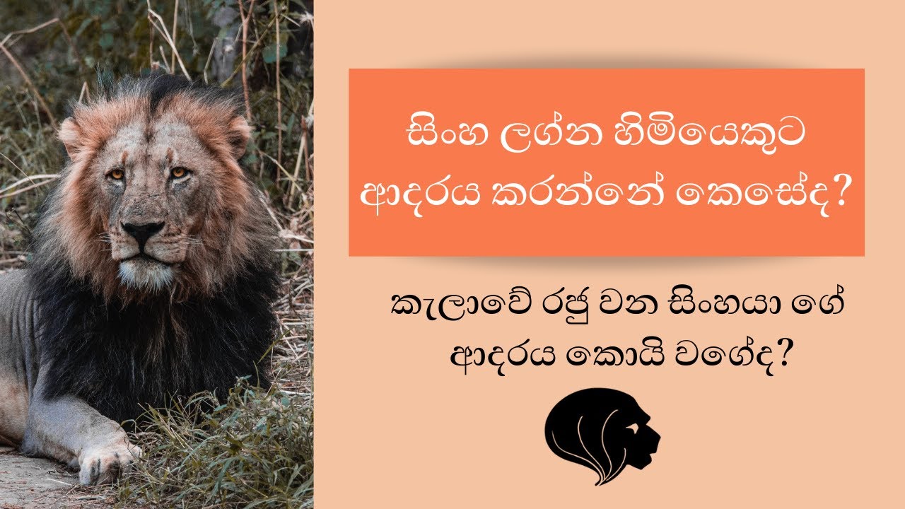 How to Love a Leo in Sinhala | Sinha Rashiya Sinha Lagnaya, Love in ...