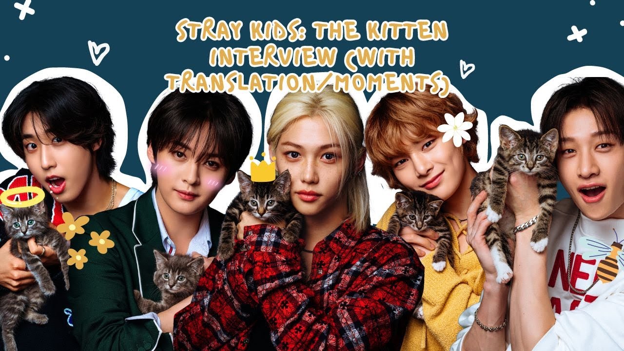 STRAY KIDS: The Kitten Interview (Photos, Moments, Questions and ...