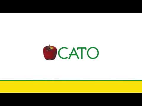 CATO Institucional HD - YouTube
