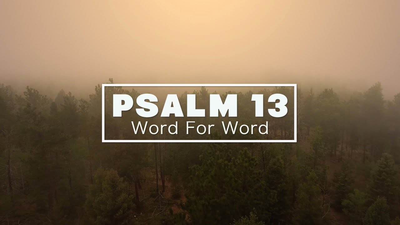 Psalm 13 Word For Word (Lyric Video) • ESV Scripture Song - YouTube