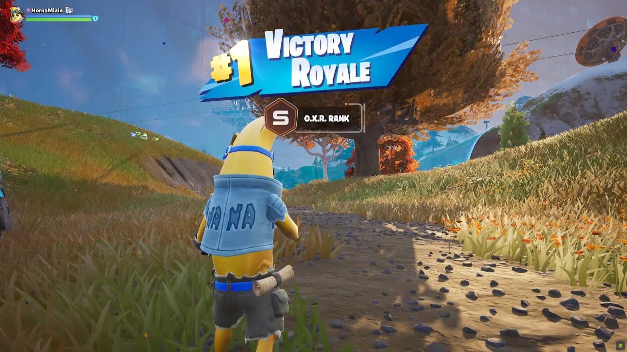 Fortnite Battle Royale Duos Victory Royale game (Chapter 6 Season 4 ...