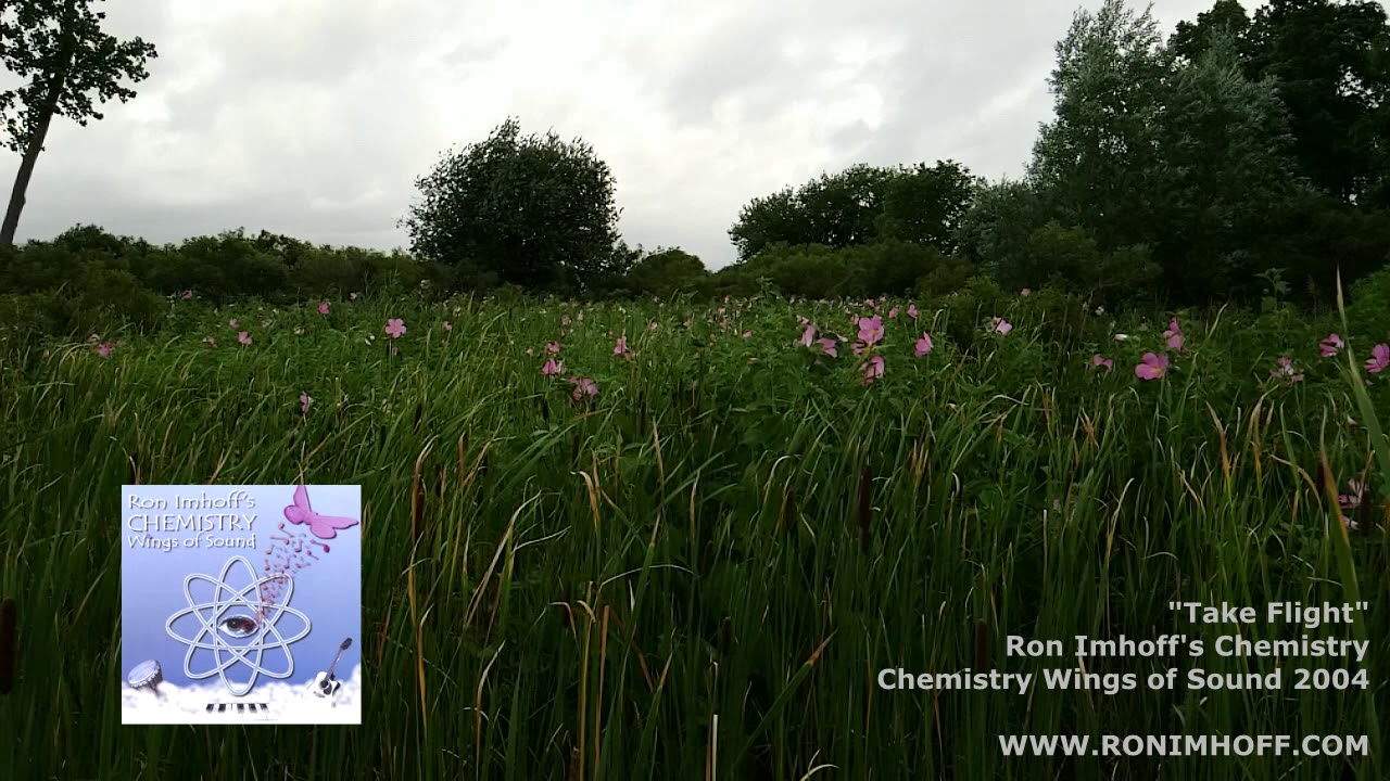 Relaxing Ambient Music - Take Flight - Ron Imhoff 2004 - YouTube