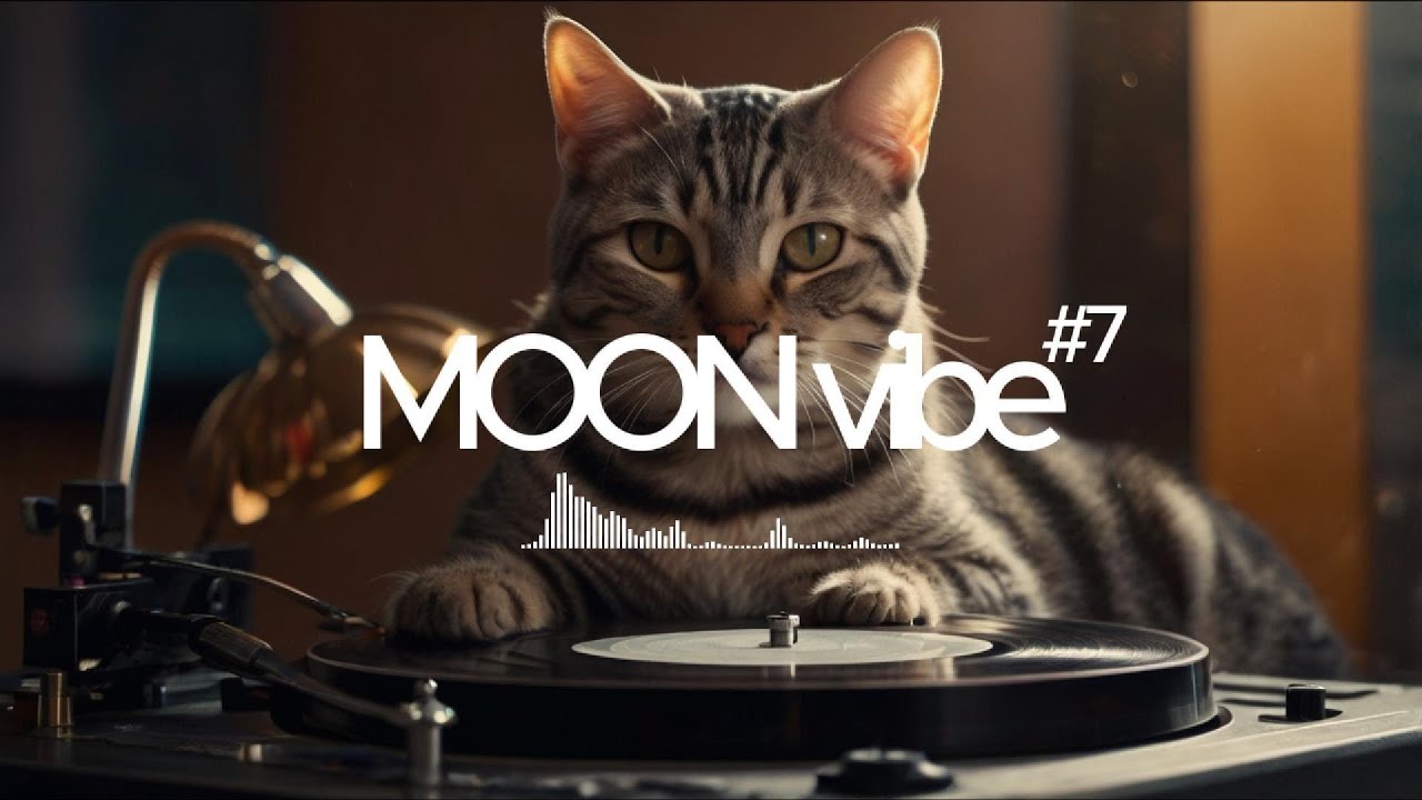 MOON vibe playlist: 마음을 편안하게 하는 칠아웃 사운드 ㅣChill Out Lofi Vibes🎵 #7 - YouTube