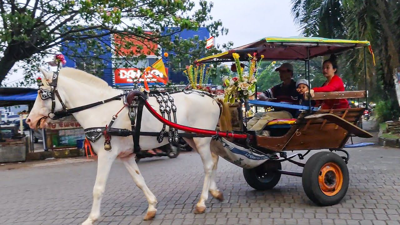 KUDA - NAIK DELMAN - KUDA DELMAN INDONESIA & LAGU L CICAK DIDINDING ...