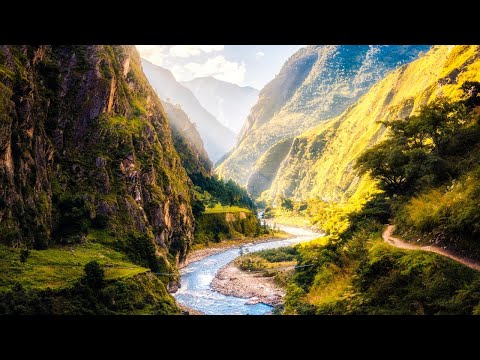 Soothing Stress Relief Music With Beautiful Nature 🍀 Stop Anxiety, Depression & Bad Vibes