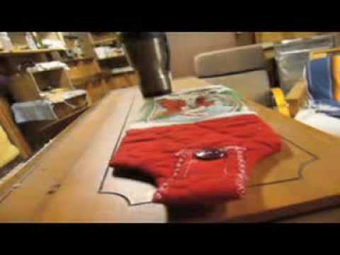 proof of gnomes - YouTube