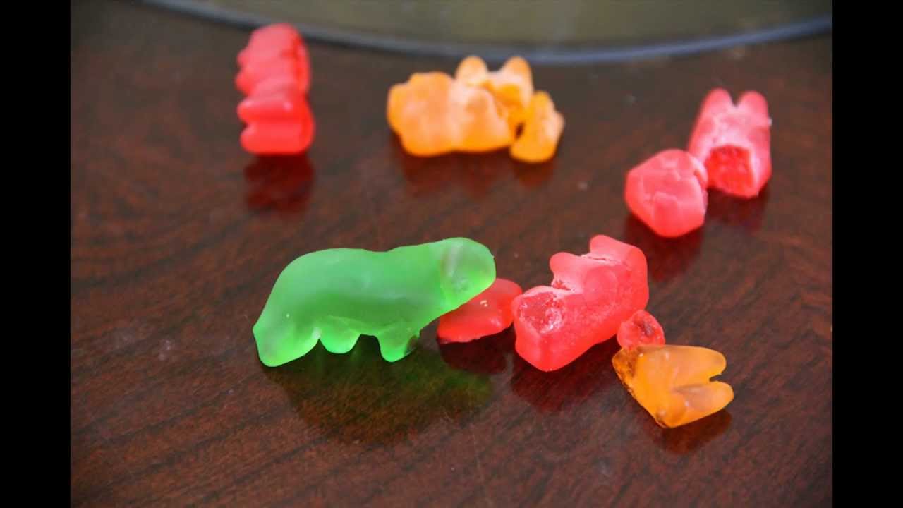 gummy wars - YouTube