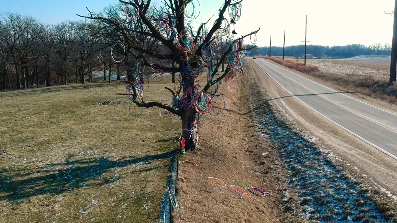 Hula Hoop Tree - YouTube