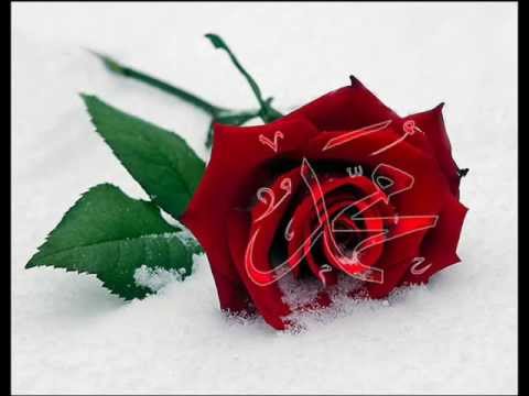 Hedisler (Azeri dilinde)