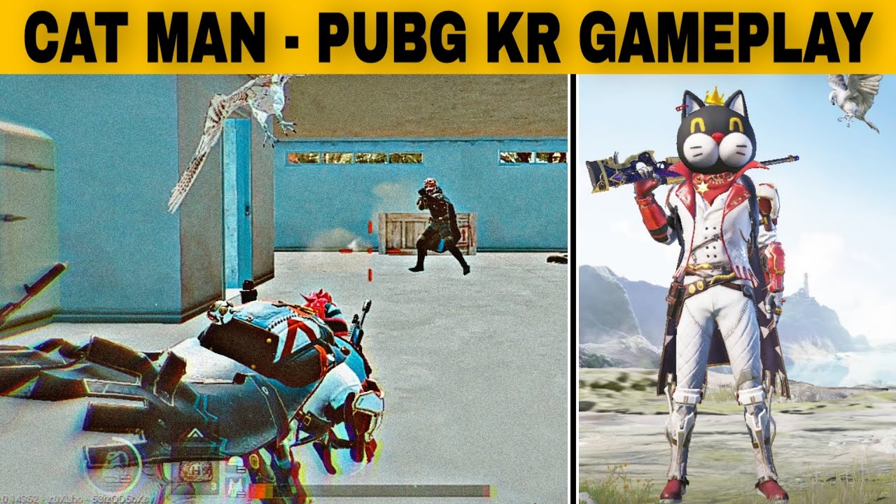 🐱 CAT MAN - PUBG KR GAMEPLAY || PUBG GAMEPLAY || BY REDBULL GAMING ...