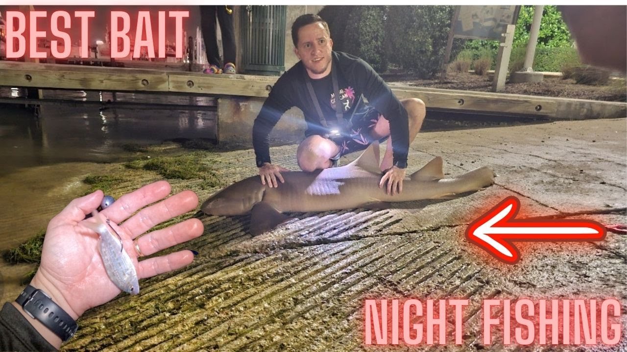 BEST BAIT for night time FISHING - YouTube