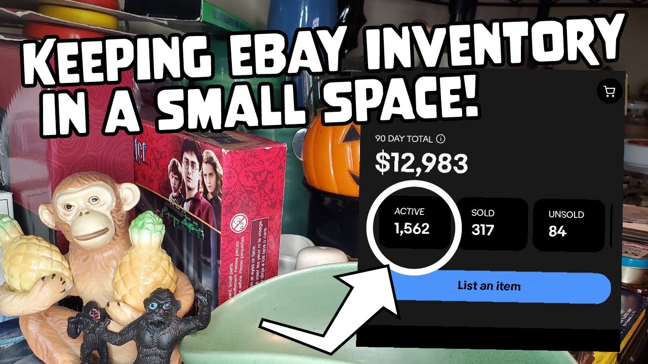 How to Organize Over 1000 Inventory Items for eBay! - YouTube
