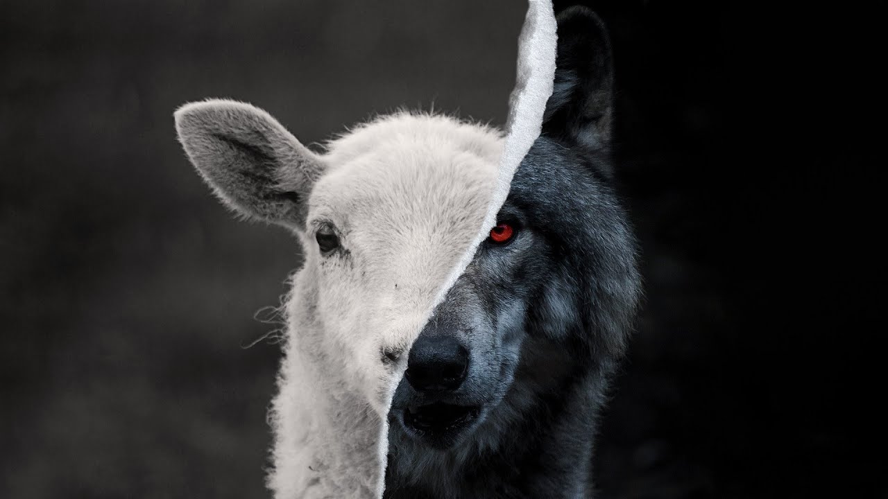 Who is the False Prophet of Our Day? - YouTube