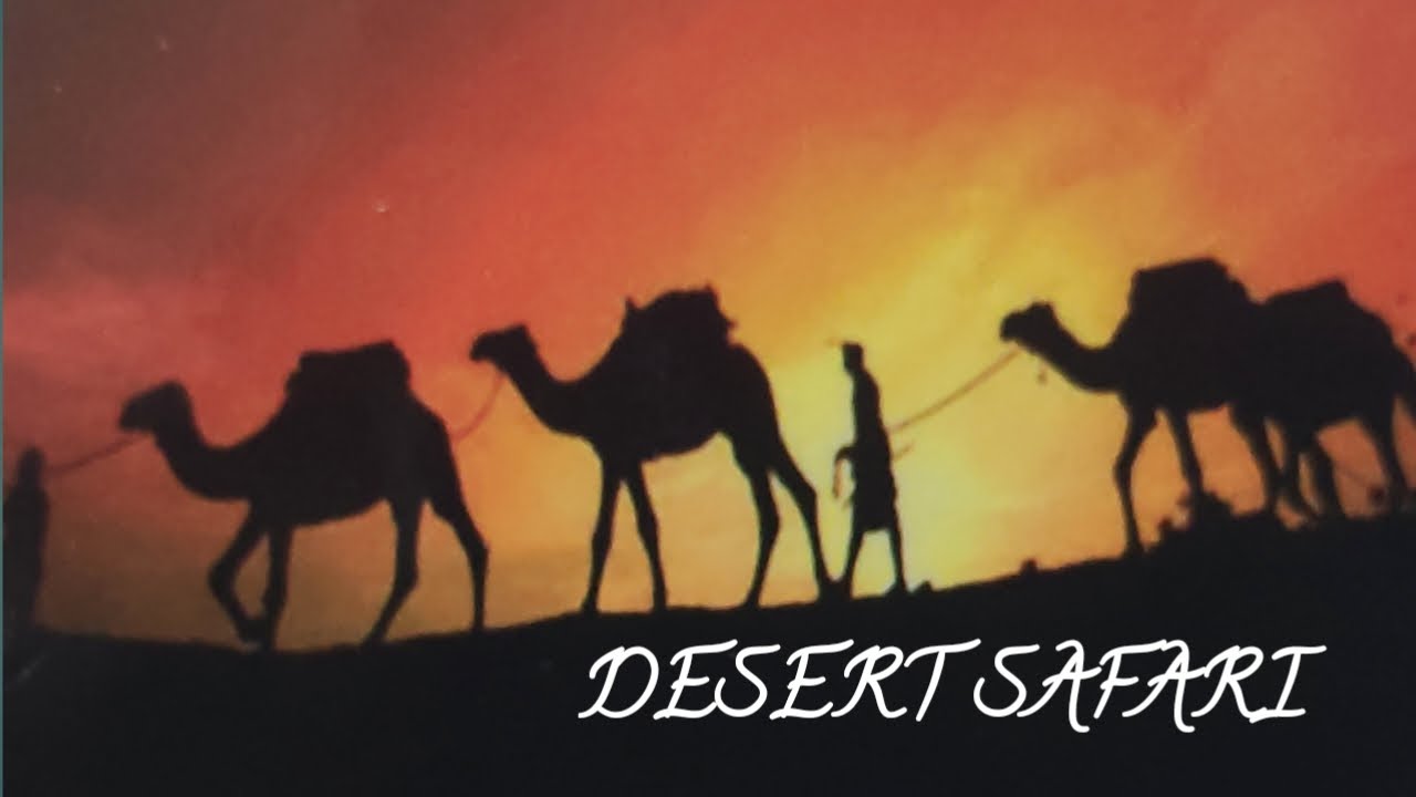 Desert Safari Vlog / Golden Moments in Desert / Staff Picnic at Desert ...
