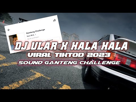 DJ GANTENG CHALLENGE VIRAL! - ULAR X HALA HALA VIRAL TIKTOD 2023! - YouTube