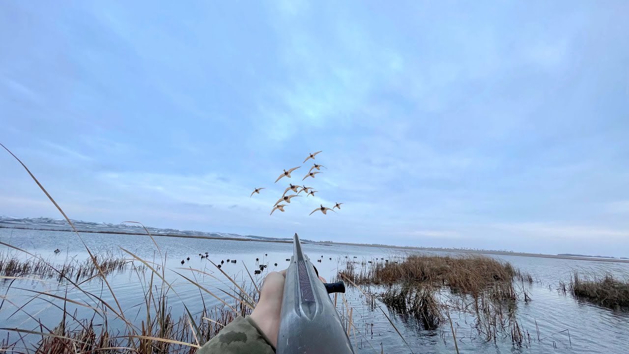 DUCK HUNTING a HIDDEN LAKE Loaded with MALLARDS! (DRAKE LIMIT) - YouTube