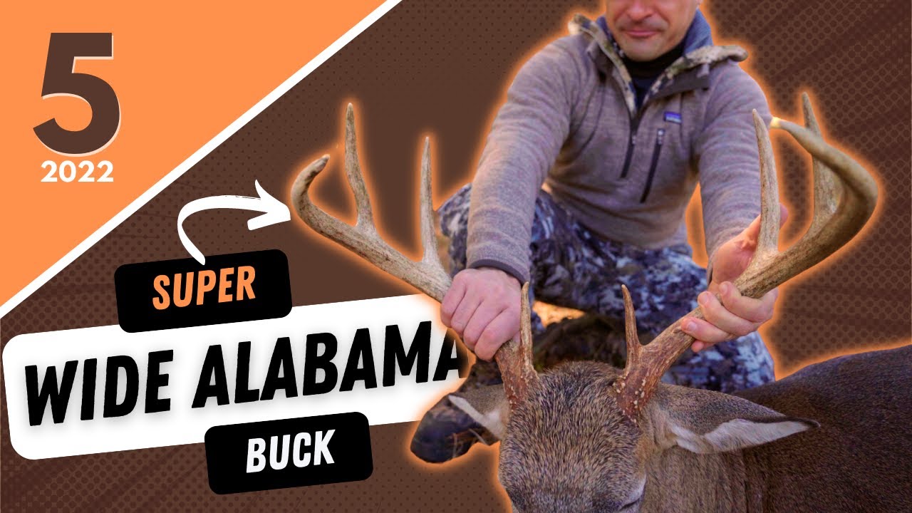 Heavy Alabama BUCK! (Buck down) - YouTube