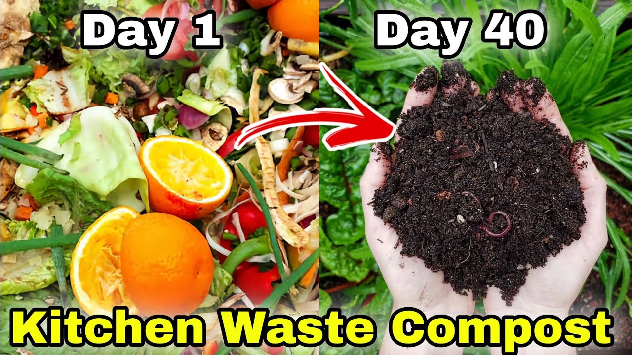 12 inch pot kitchen waste compost || How to make compost at home - YouTube