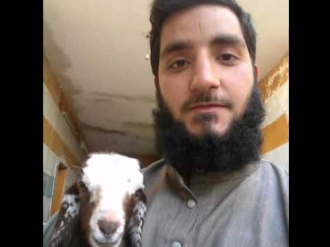 Eyyuhel muslimun  (İdlip şehidi Diyarbakır'lı Abdulkadir)