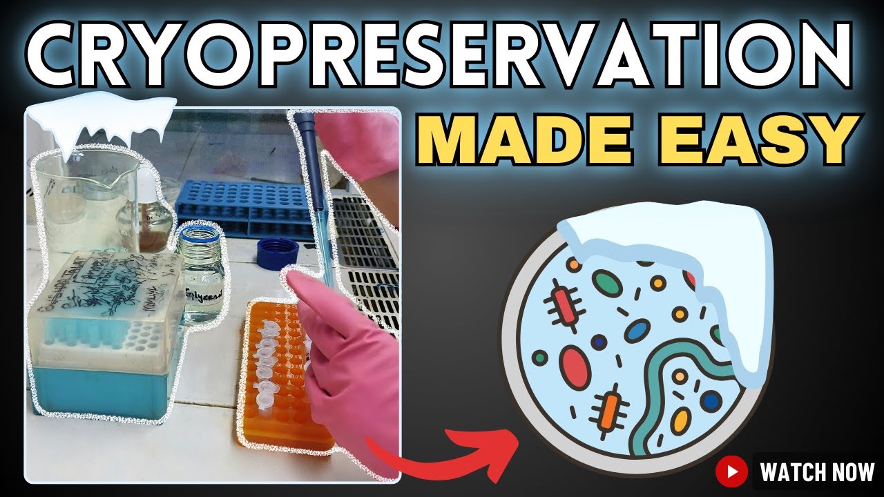 How to Prepare Bacterial Glycerol Stocks for Long-Term Preservation ...