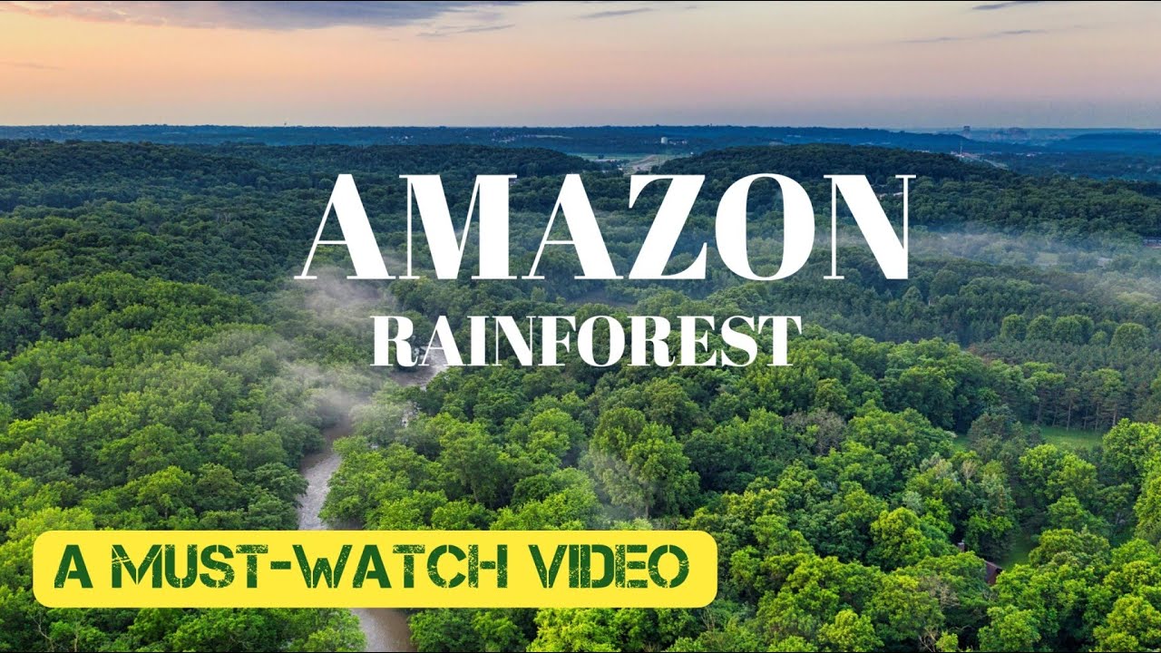 Amazon Rainforest Must Watch Video | दुनिया का सबसे बड़ा अमेज़न जंगल का ...