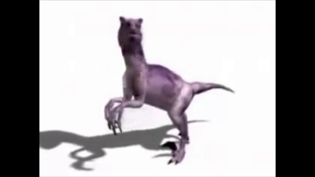 Morph- Rapping Raptor - YouTube