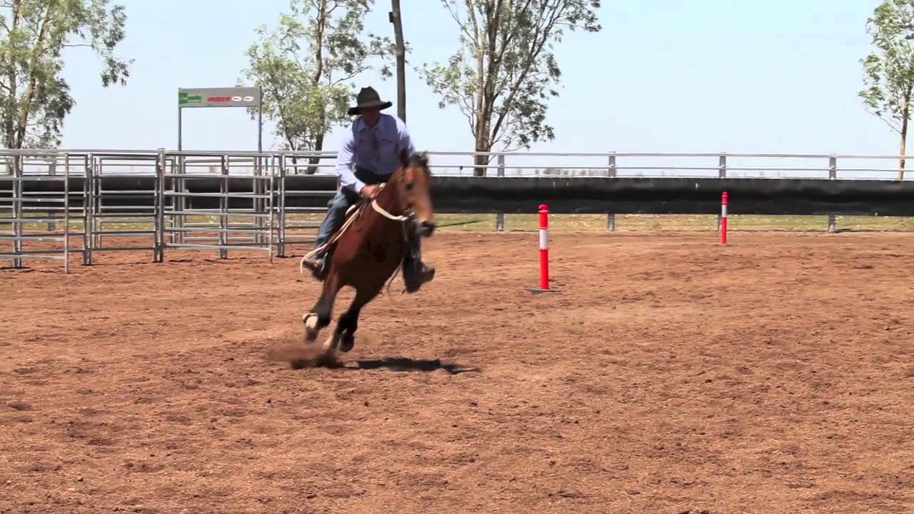 CORELLAPARK INDENT & BEN STANGER - YouTube