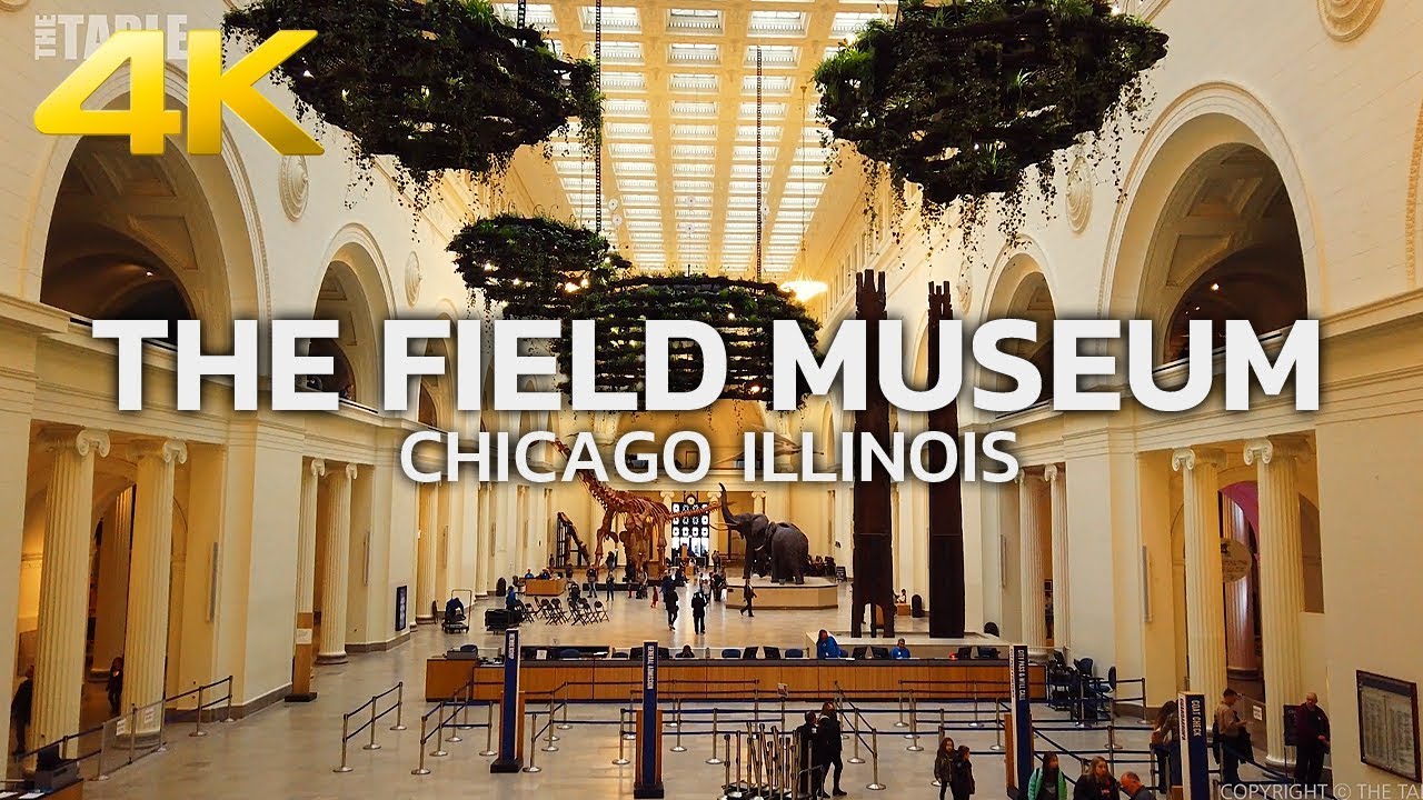 CHICAGO - The Field Museum of Natural History, Downtown Chicago ...