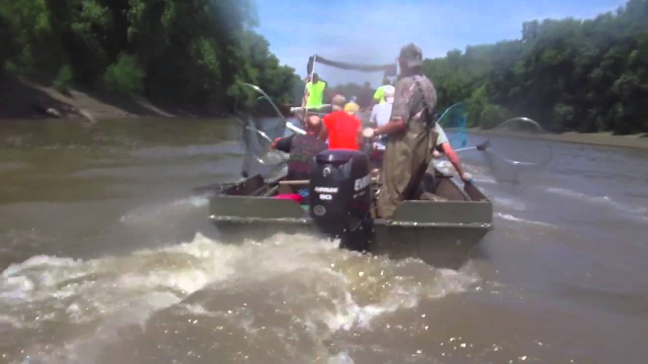 2013 Redneck Fishing Tournament, Team Aloha Carp, Bath, IL - YouTube