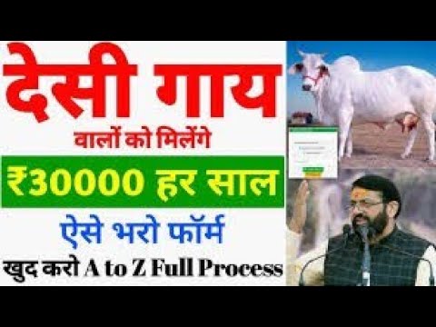 Desi Gaye Ka Farm Kase Bhare Puri Jankari Ke liye video Dekhe # ...