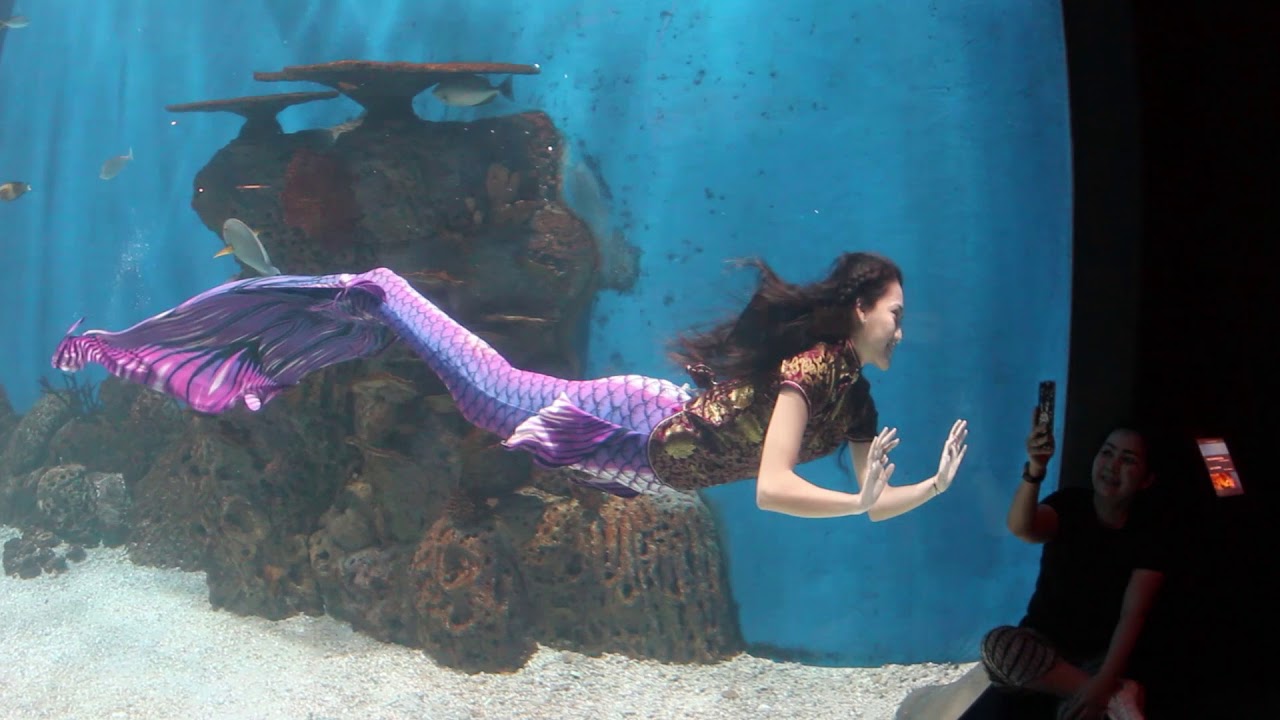 Meet And Greet Mermaid At Jakarta Aquarium Indonesia Youtube