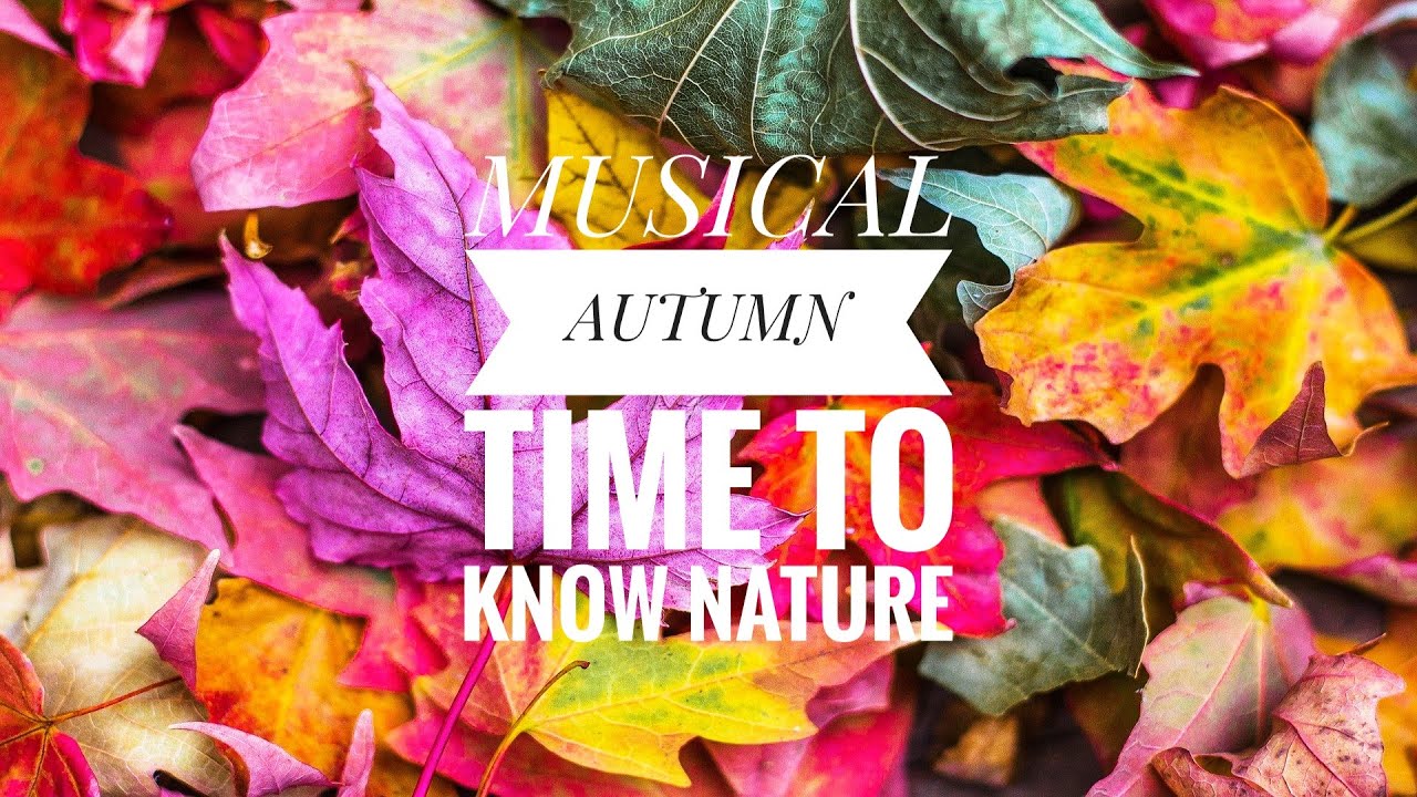 AUTUMN MUSIC • MOTIVATIONAL MUSIC • RELAXING MUSIC • AUTUMN AND BEAUTY ...