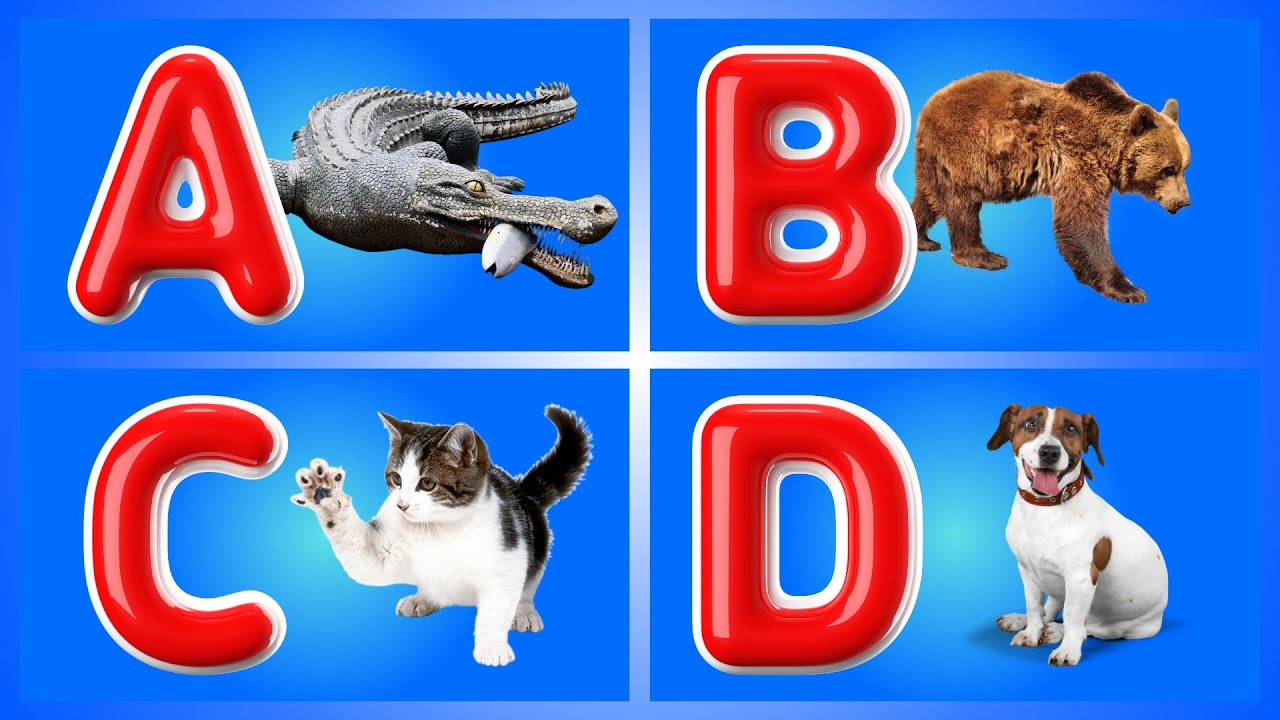 ABC Learning for Toddlers 4 Years Old | Learn Alphabet A to Z with ...