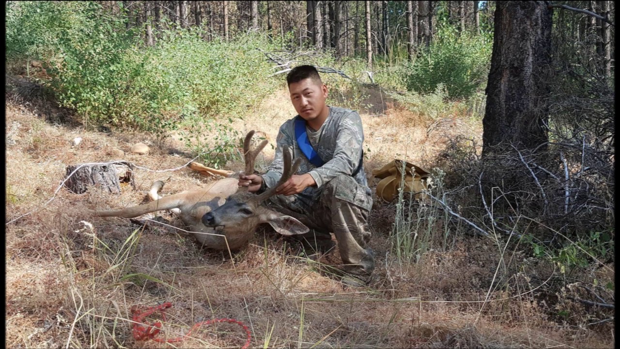 Hmong Hunting D6 Archery Deer & Squirrel 2016 - YouTube