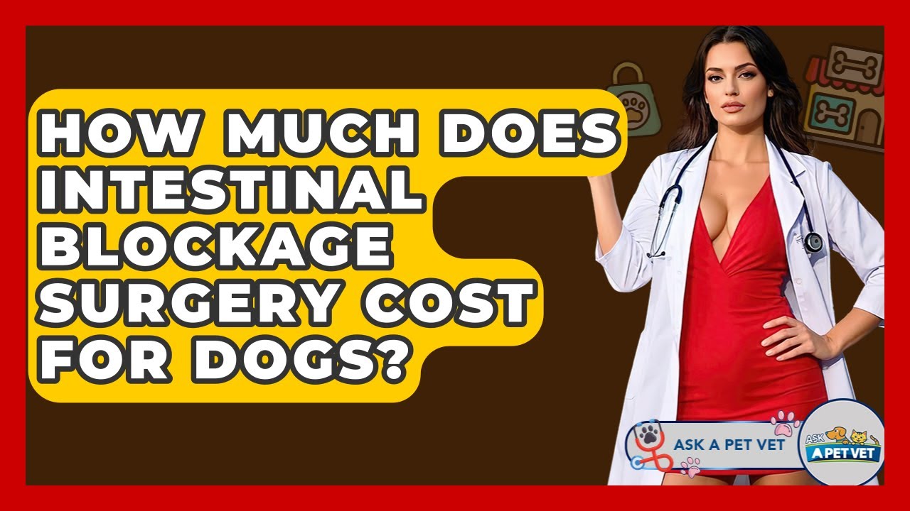 How Much Does Intestinal Blockage Surgery Cost For Dogs? - Ask A Pet ...