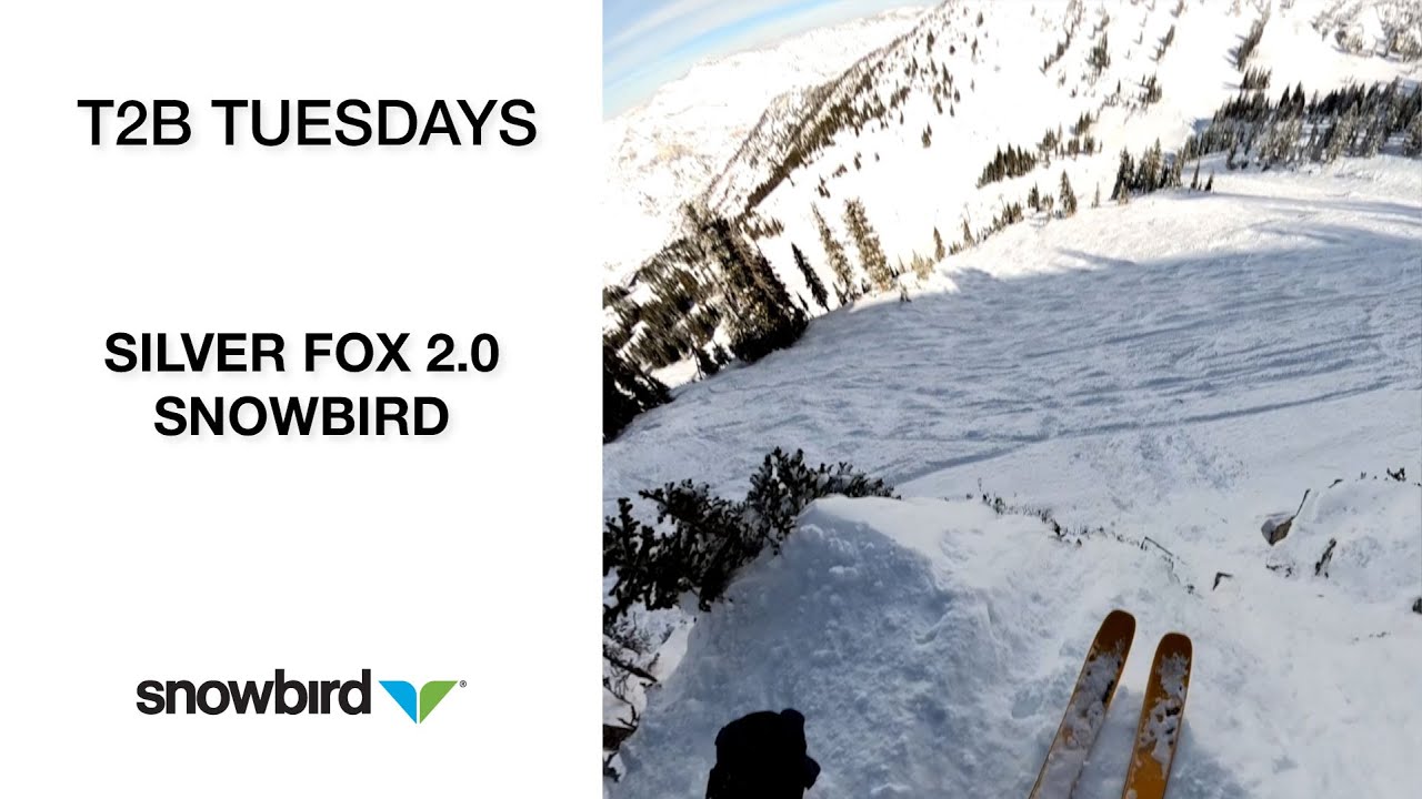 T2B Tuesdays – Silver Fox 2.0 | Snowbird | 2020-2021 - YouTube