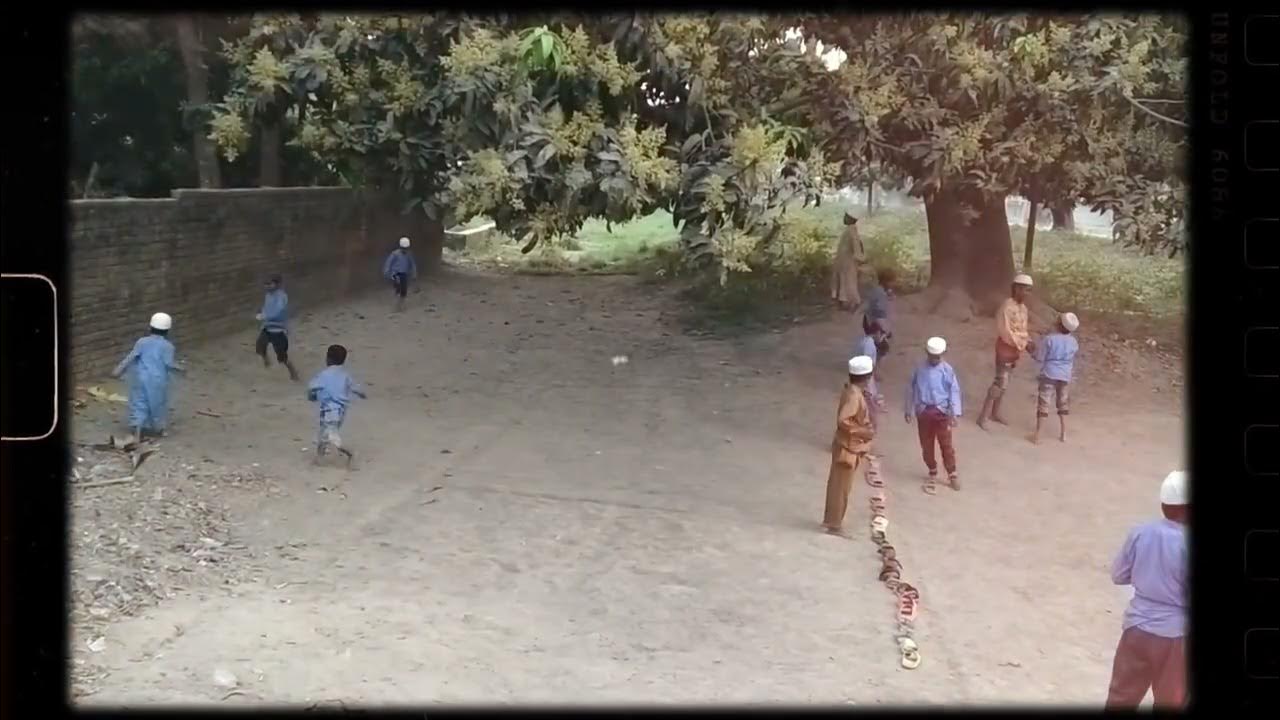 November 5, 2024 - YouTube